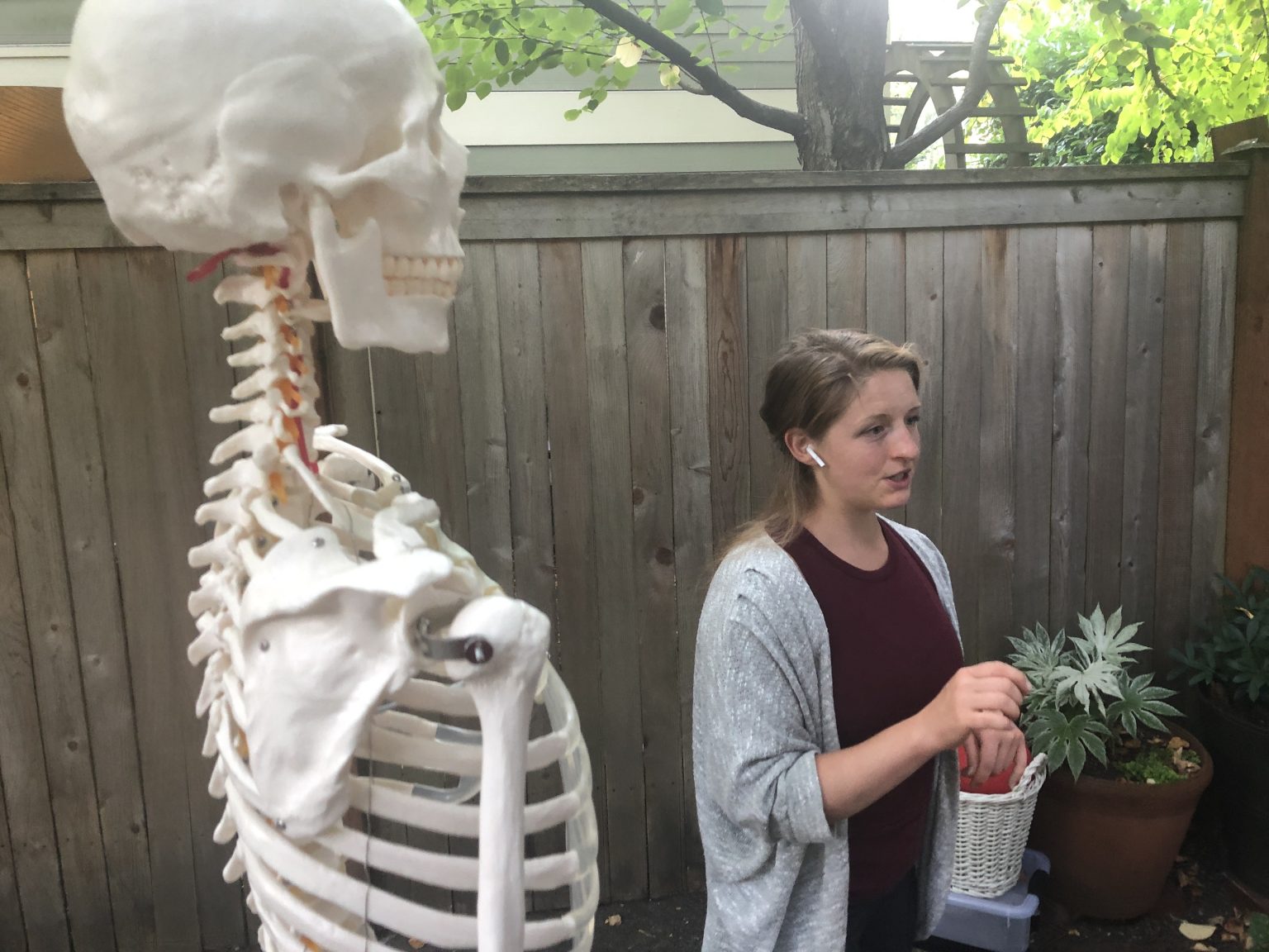 Journey to a Solo Performance by Alyssa Franks – Freehold Theatre